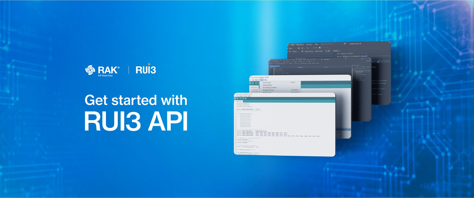 Get Started with RUI3 API