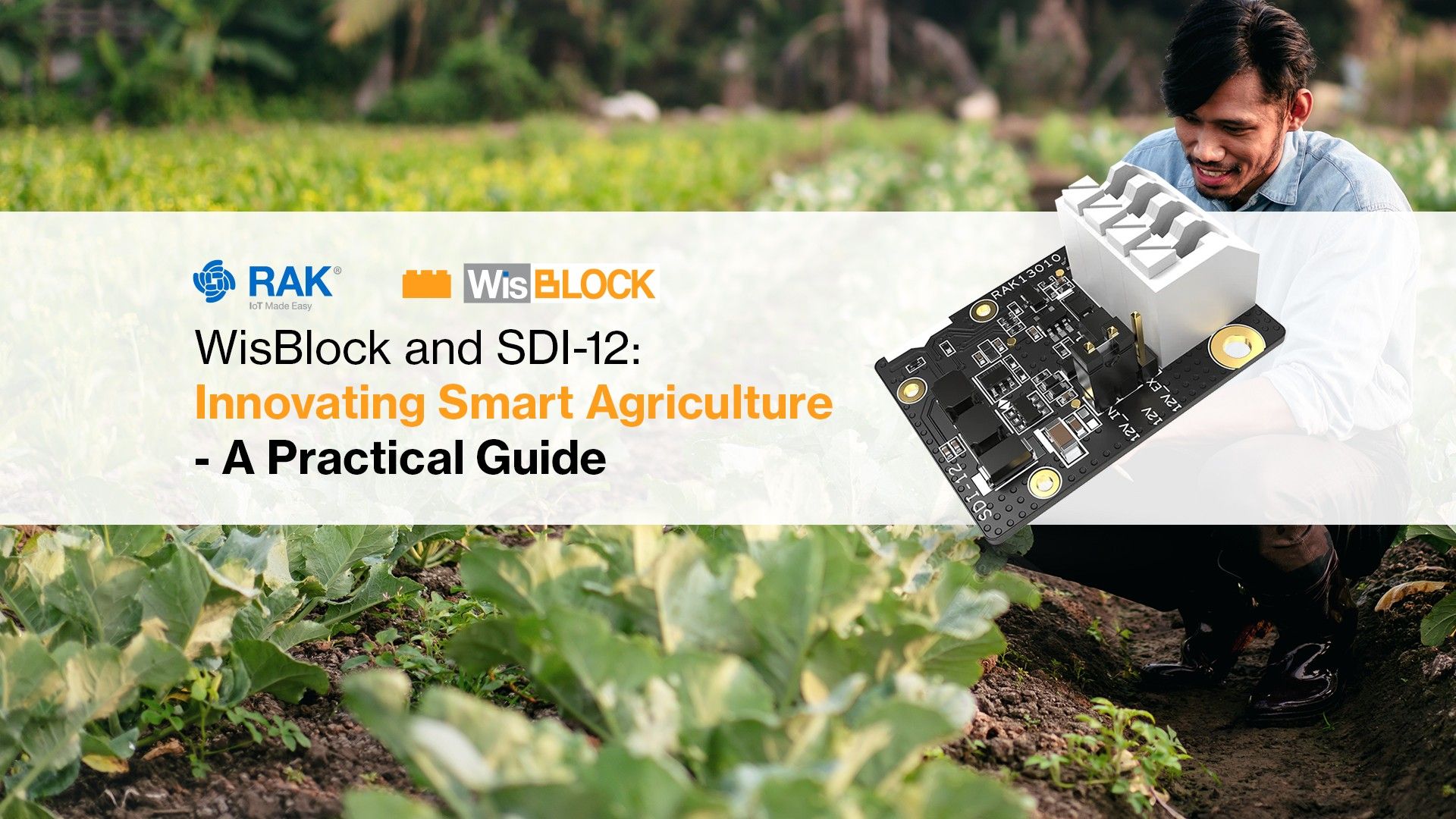 Enhancing Farming Efficiency: WisBlock and SDI-12 for Smart Agriculture