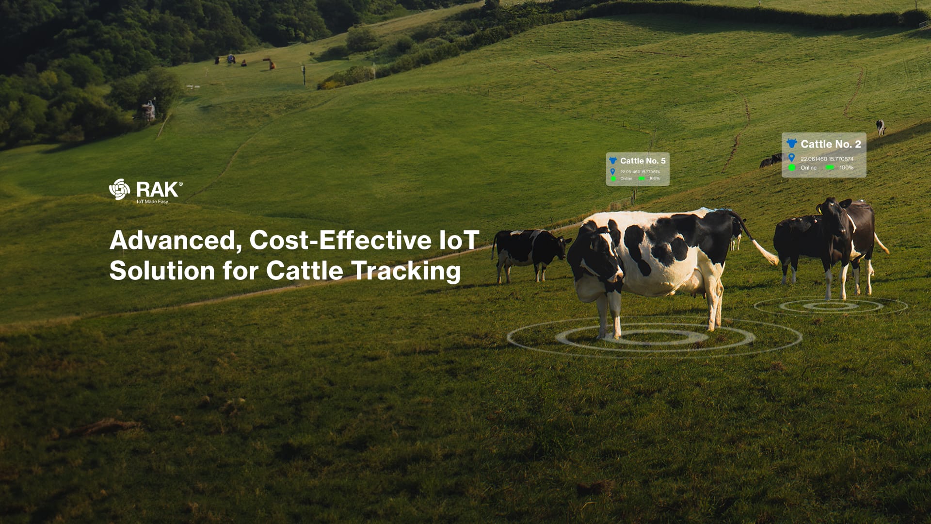 Moovement's Innovative Approach: Affordable Cattle Tracking with IoT ...