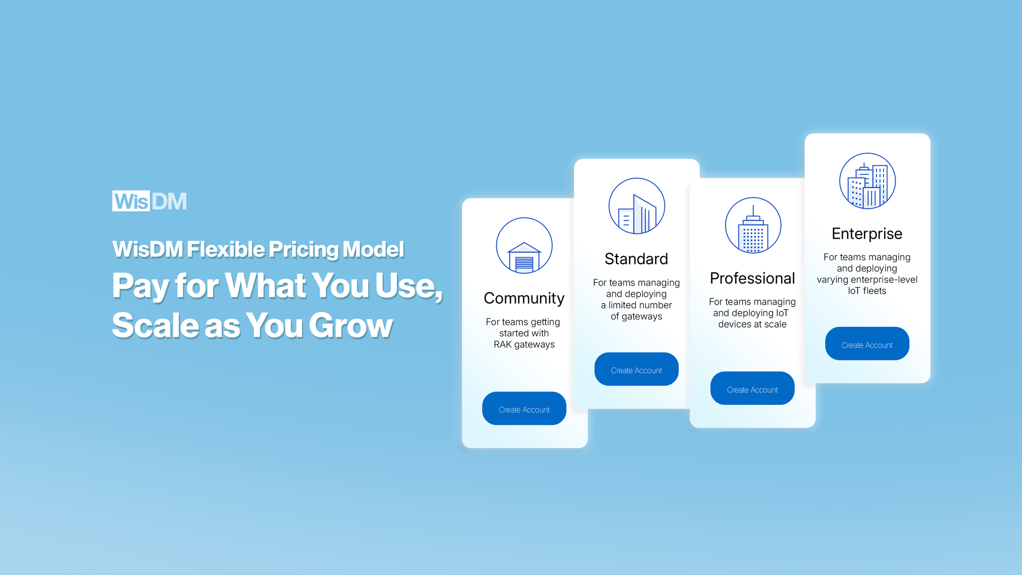 WisDM Flexible Pricing Model - Tailored for Your Business