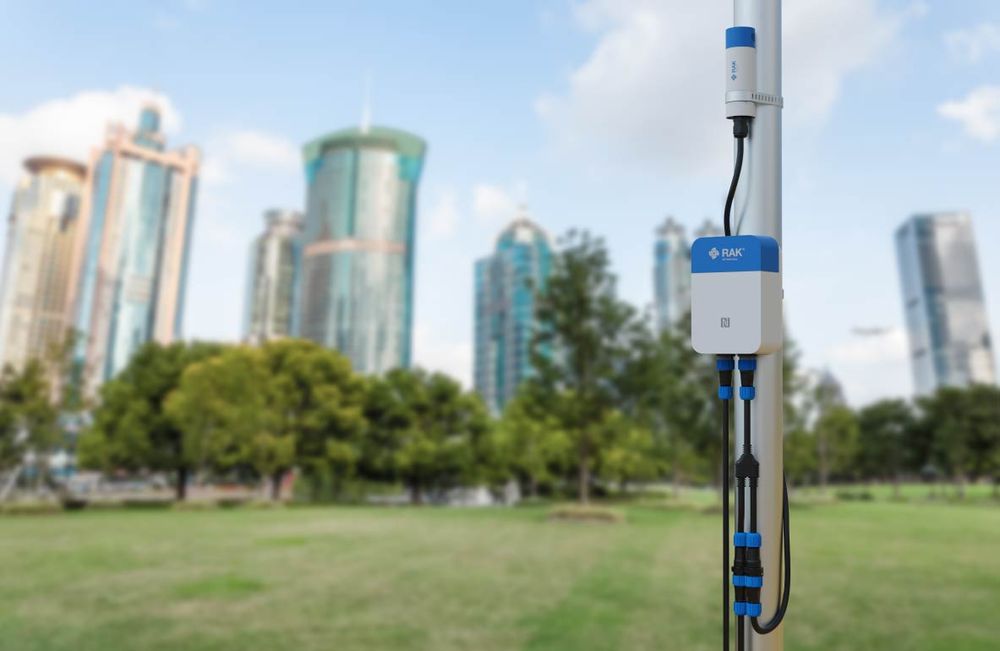 Plug-and-Play Sensor Network: Simplified Data Collection with ...