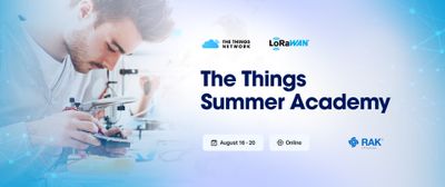 RAK Rides a LoRaWAN®-Way Ticket To The Things Summer Academy!