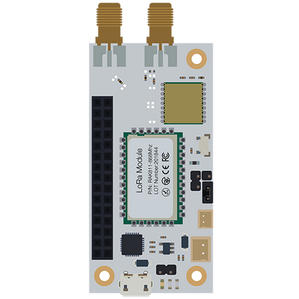 LoRaWAN®: A Low Power Wide Area Network (LPWAN) Technology