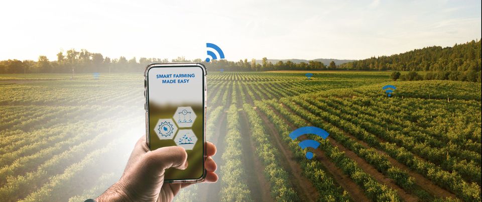 3 Ways IoT products transform the agricultural landscape to a Smart one